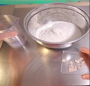 Essential guide to biga for pizza - Learn how to make biga pizza dough